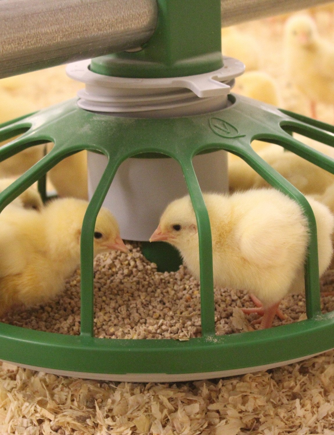 Broilers - Vencomatic Group